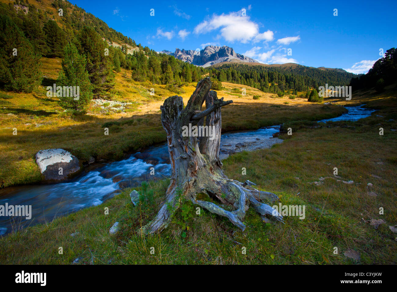 Val S-Charl, Schweiz, Kanton Graubünden, Graubünden, Tal, Bäume, Herbst ...