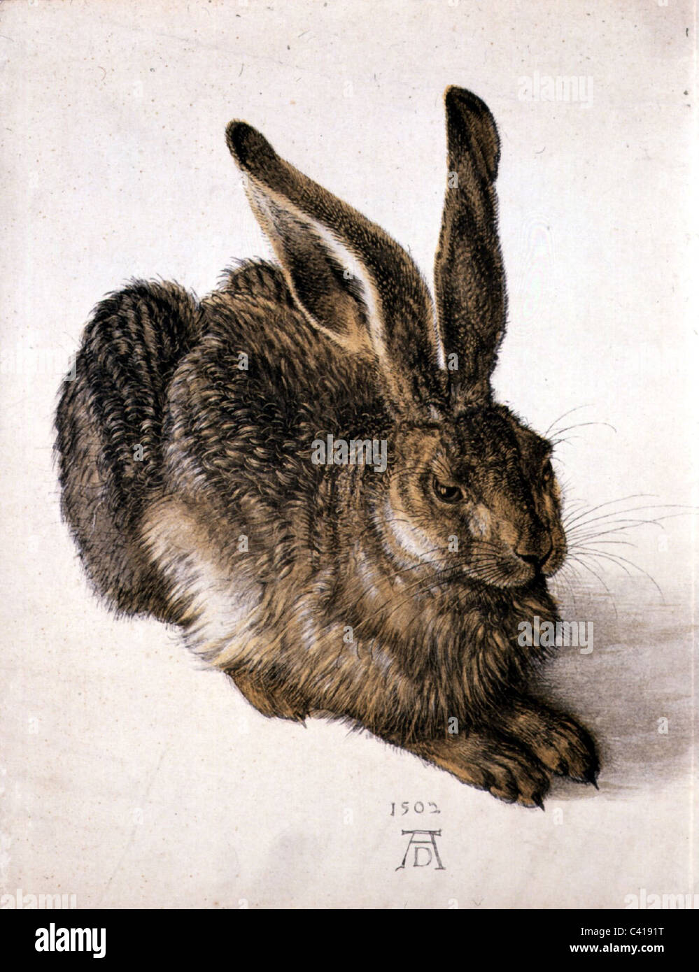 Bildende Kunst, Dürer, Albrecht (1471-1528), "Feldhase" (Young Hare ...
