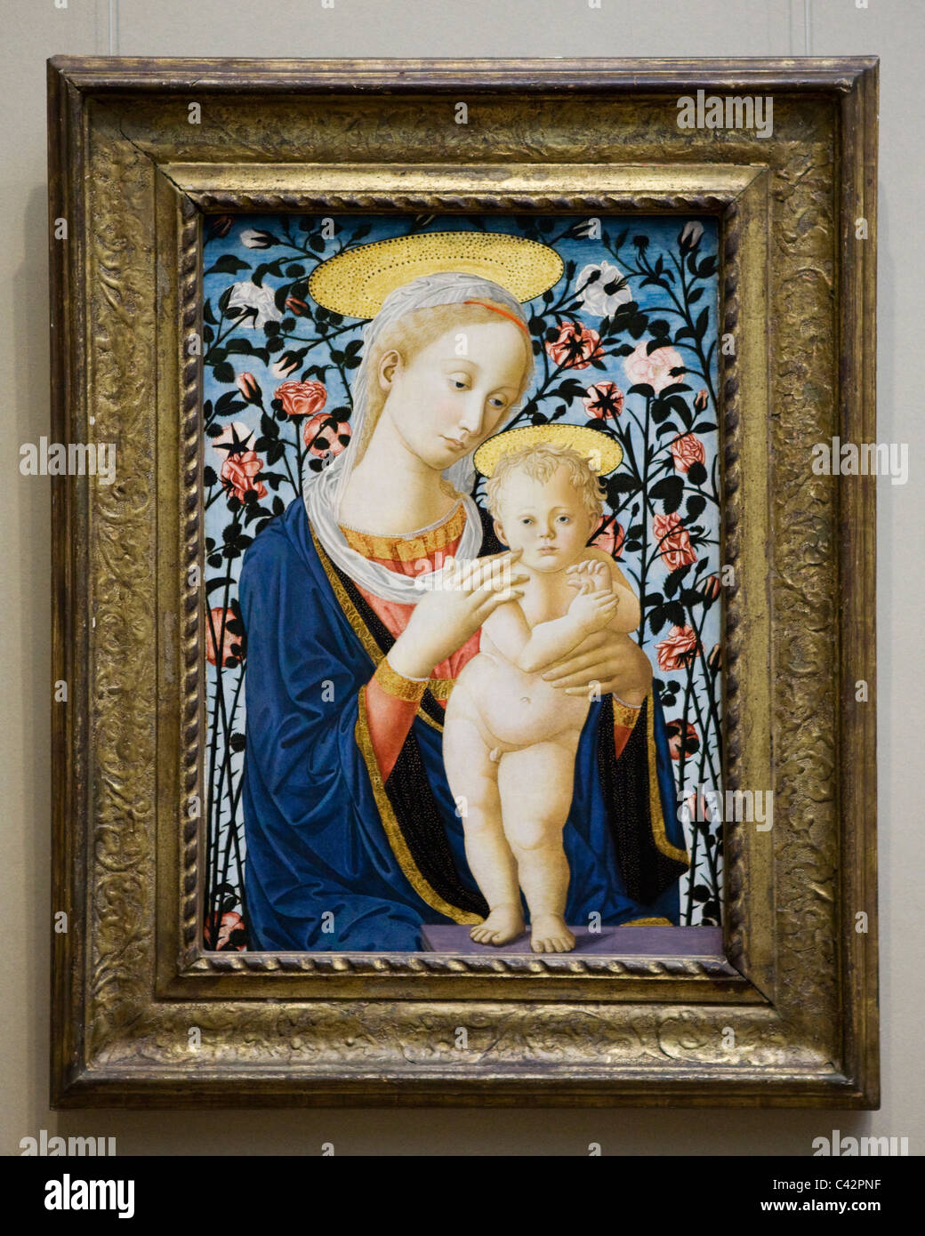 Filippo Lippi Stockfotos und -bilder Kaufen - Alamy