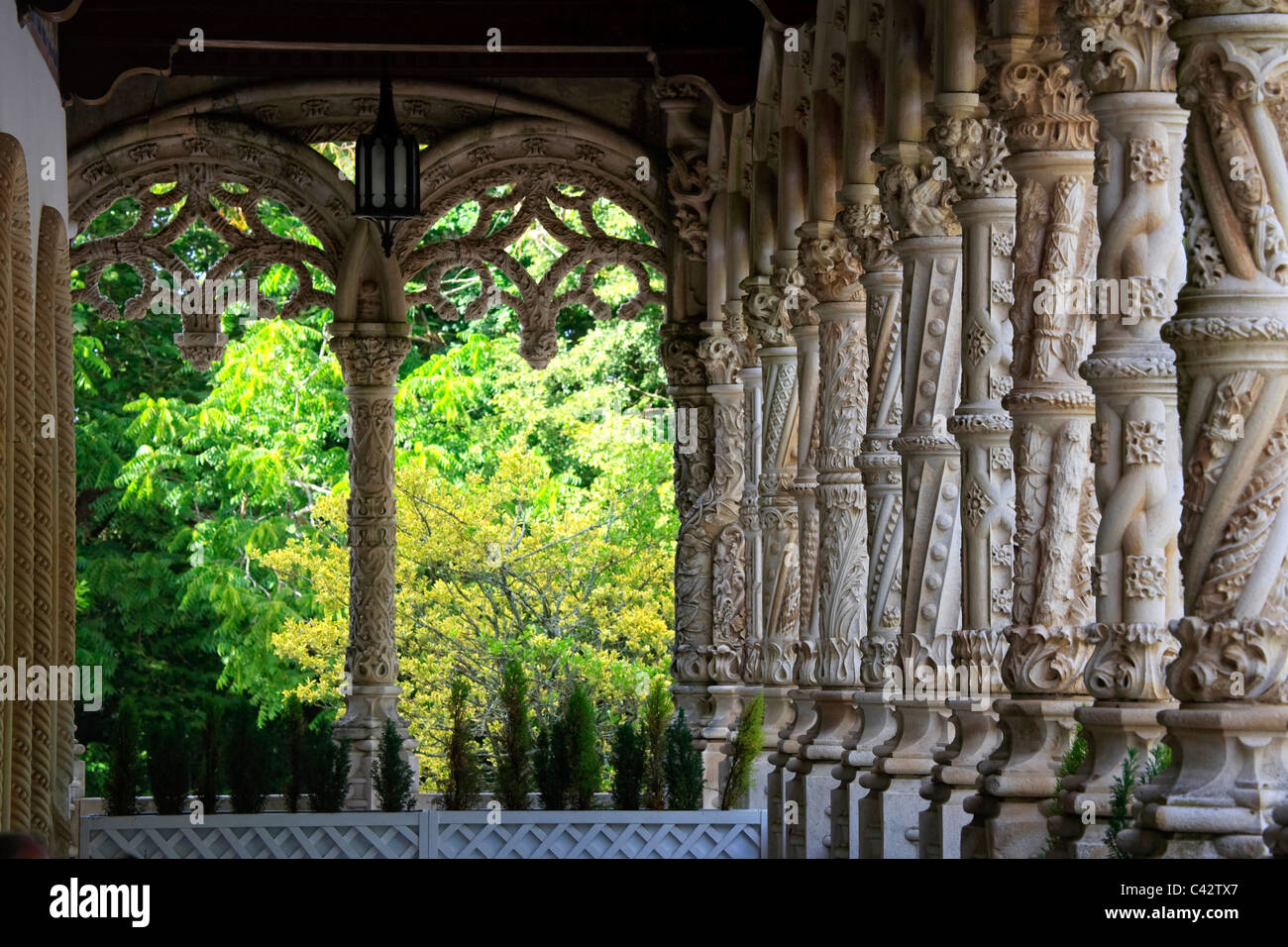 Bucaco Forest Portugal Stockfotos und -bilder Kaufen - Alamy