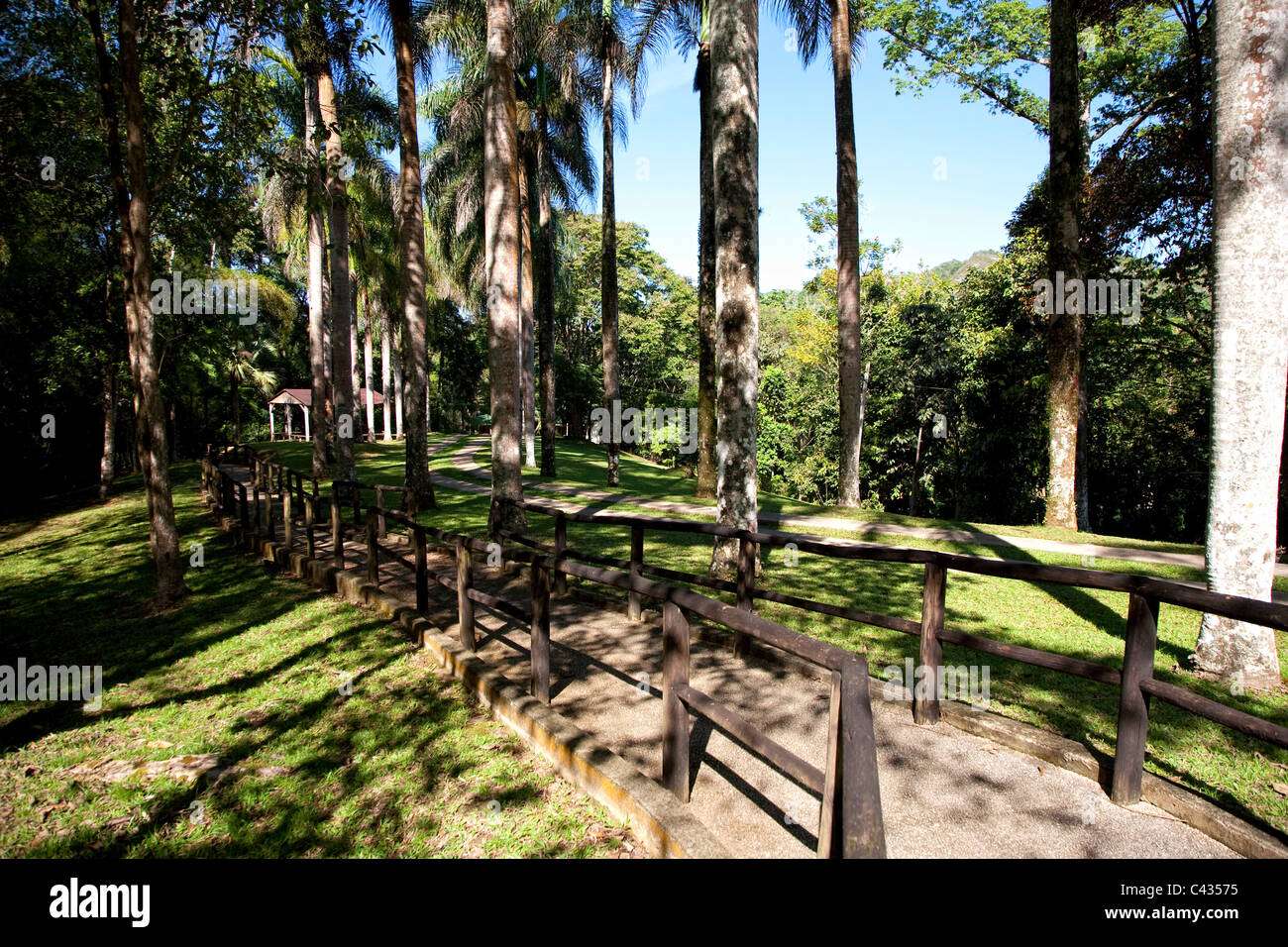 USA, Karibik, Puerto Rico, Mittelgebirge, Parque Ceremonial Indigena ...