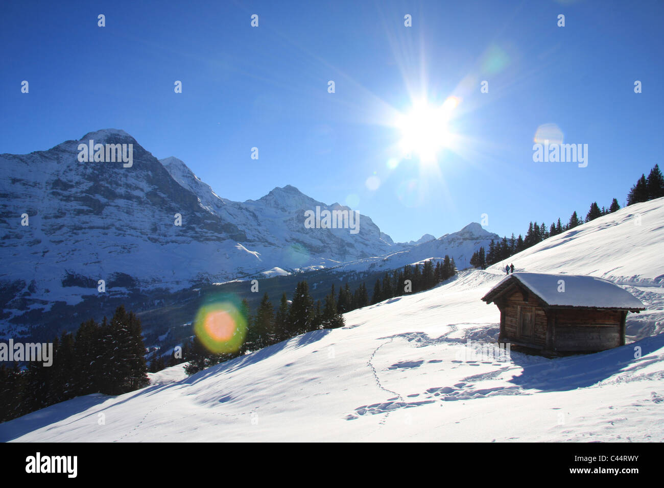 Bussalp winter -Fotos und -Bildmaterial in hoher Auflösung – Alamy