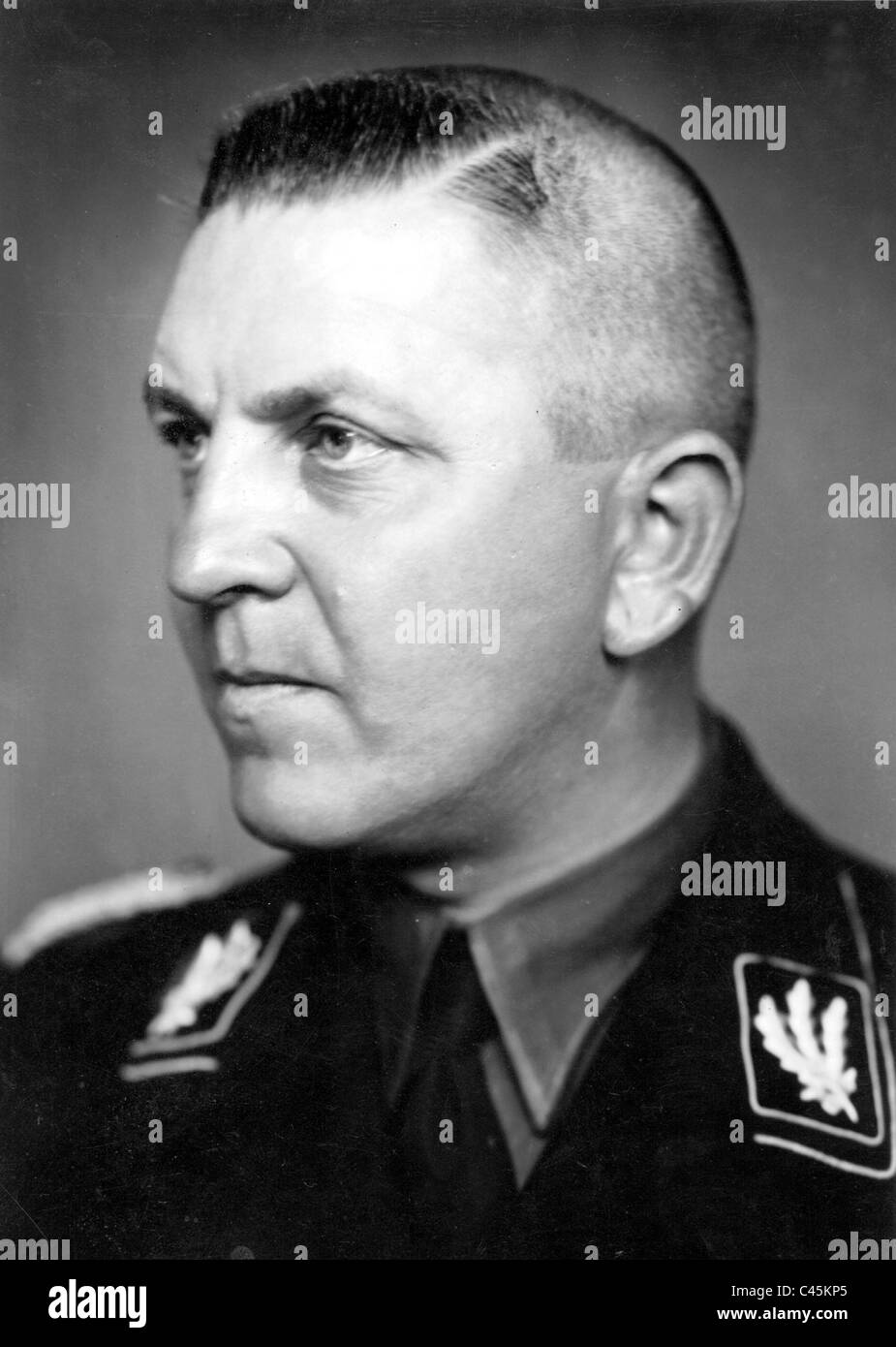 Ss Gruppenfuehrer Stockfotos und -bilder Kaufen - Alamy