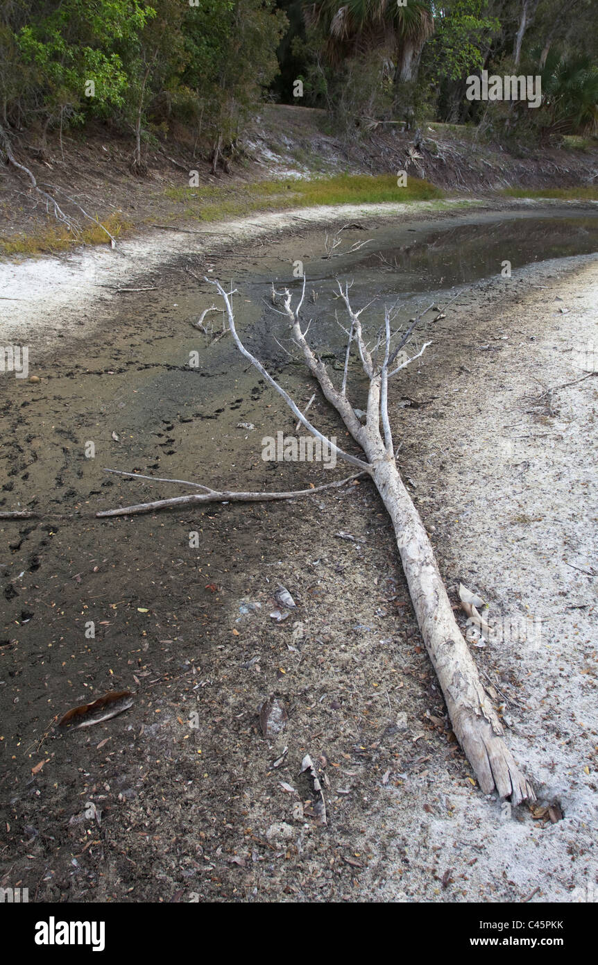 Drying out pond -Fotos und -Bildmaterial in hoher Auflösung – Alamy