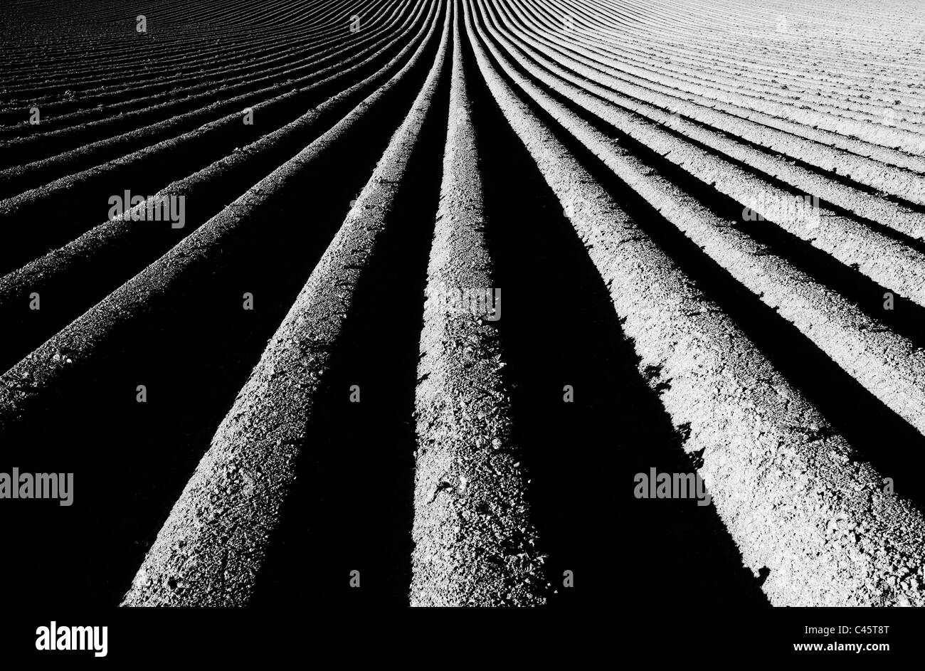 Schwarzweiß-Stockfotos und -Bildmaterial von Alamy