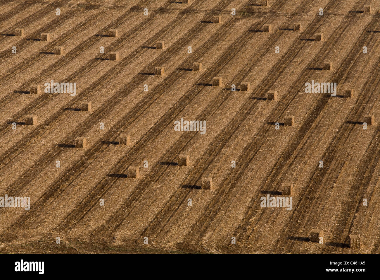 Luftaufnahme von Heu Stapeln in einem Feld in der kostalen Ebene ...