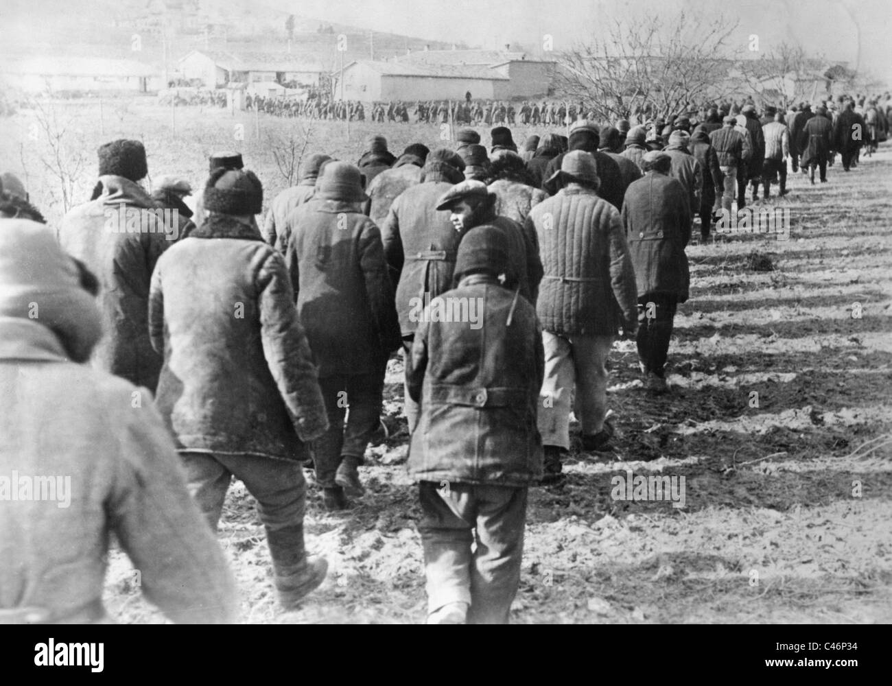 Zweiter Weltkrieg: Die deutsche Wehrmacht auf der Krim 1941-1942 ...