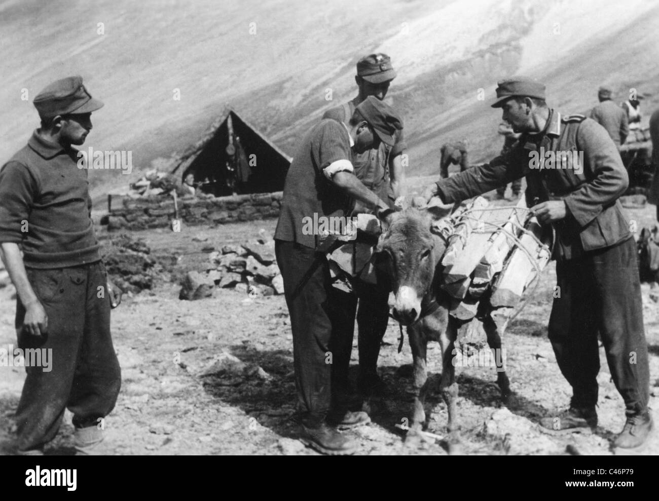 Zweiter Weltkrieg: Ostfront. Die deutsche Wehrmacht in den Bergen des ...