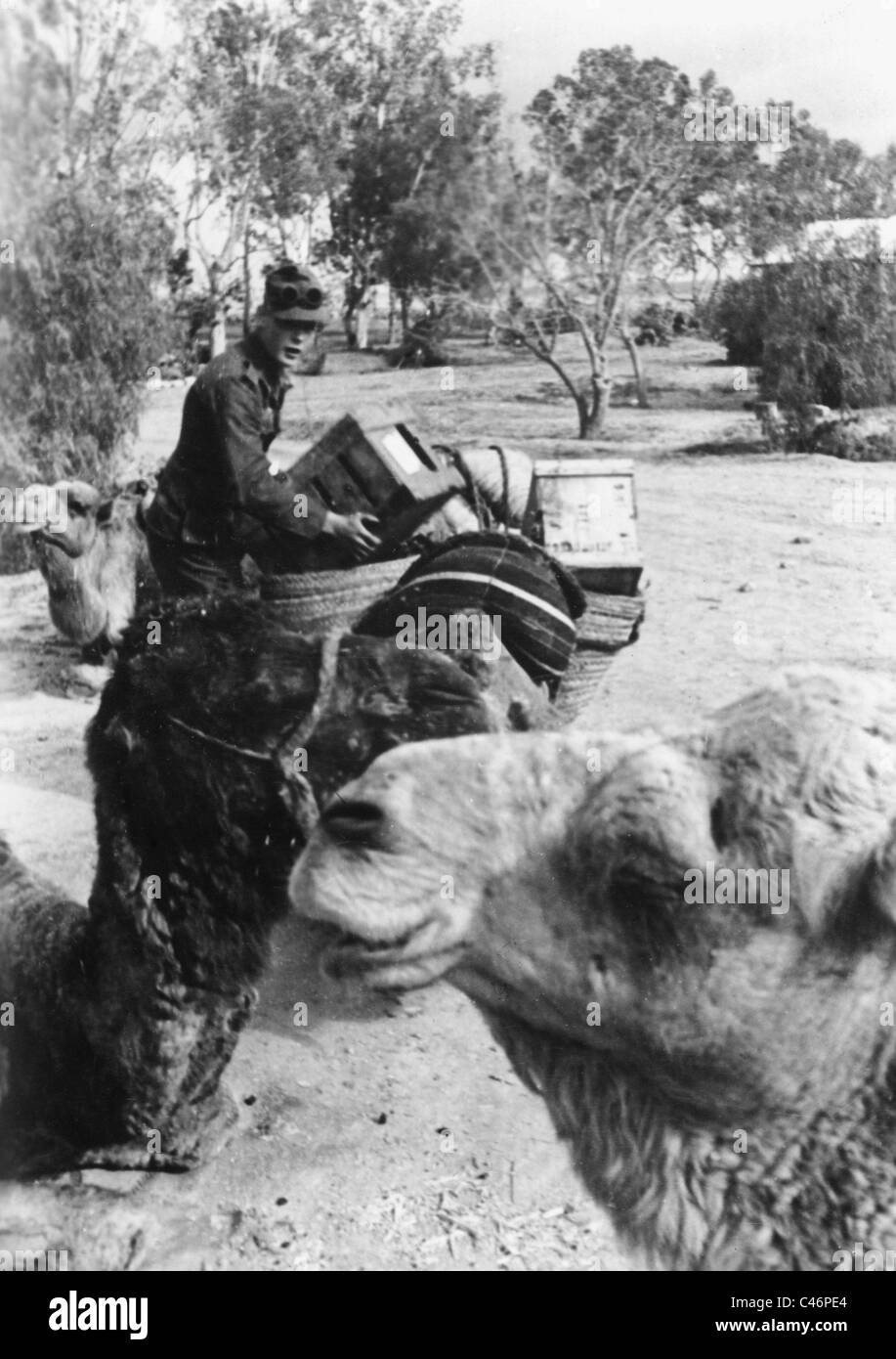 Operation Edelweiss Stockfotos und -bilder Kaufen - Alamy
