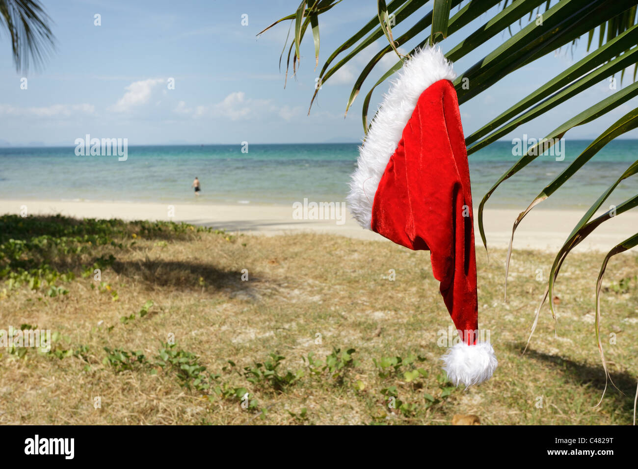 Palme hut -Fotos und -Bildmaterial in hoher Auflösung – Alamy