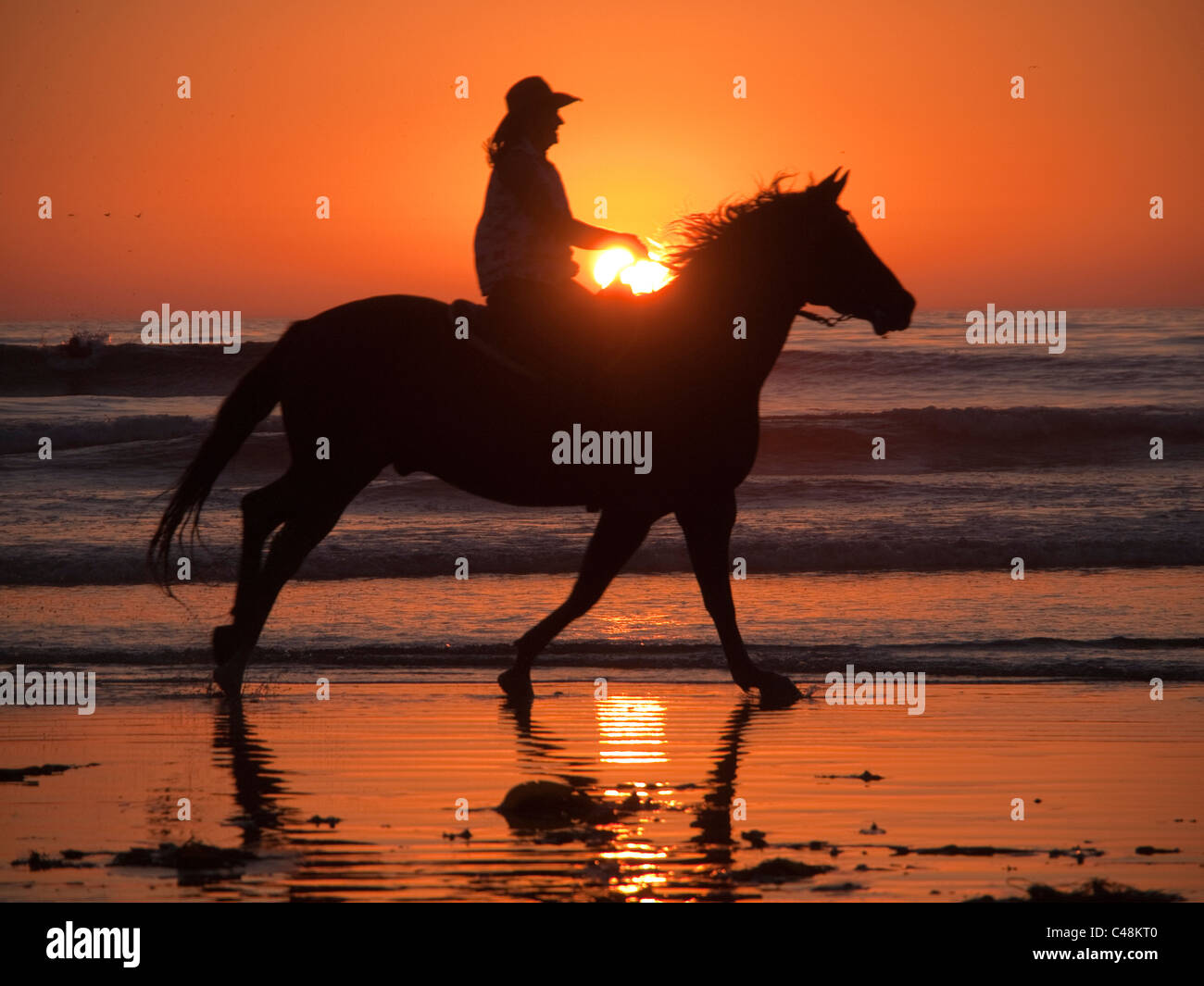 Ein pferd am strand reiten Stockfotos und -bilder Kaufen - Alamy