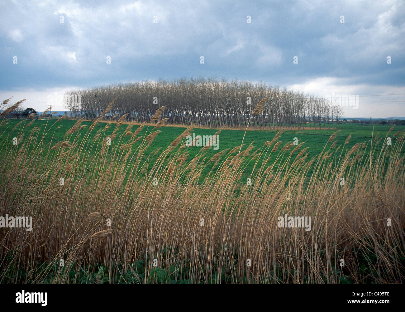 Land der türkei -Fotos und -Bildmaterial in hoher Auflösung – Alamy