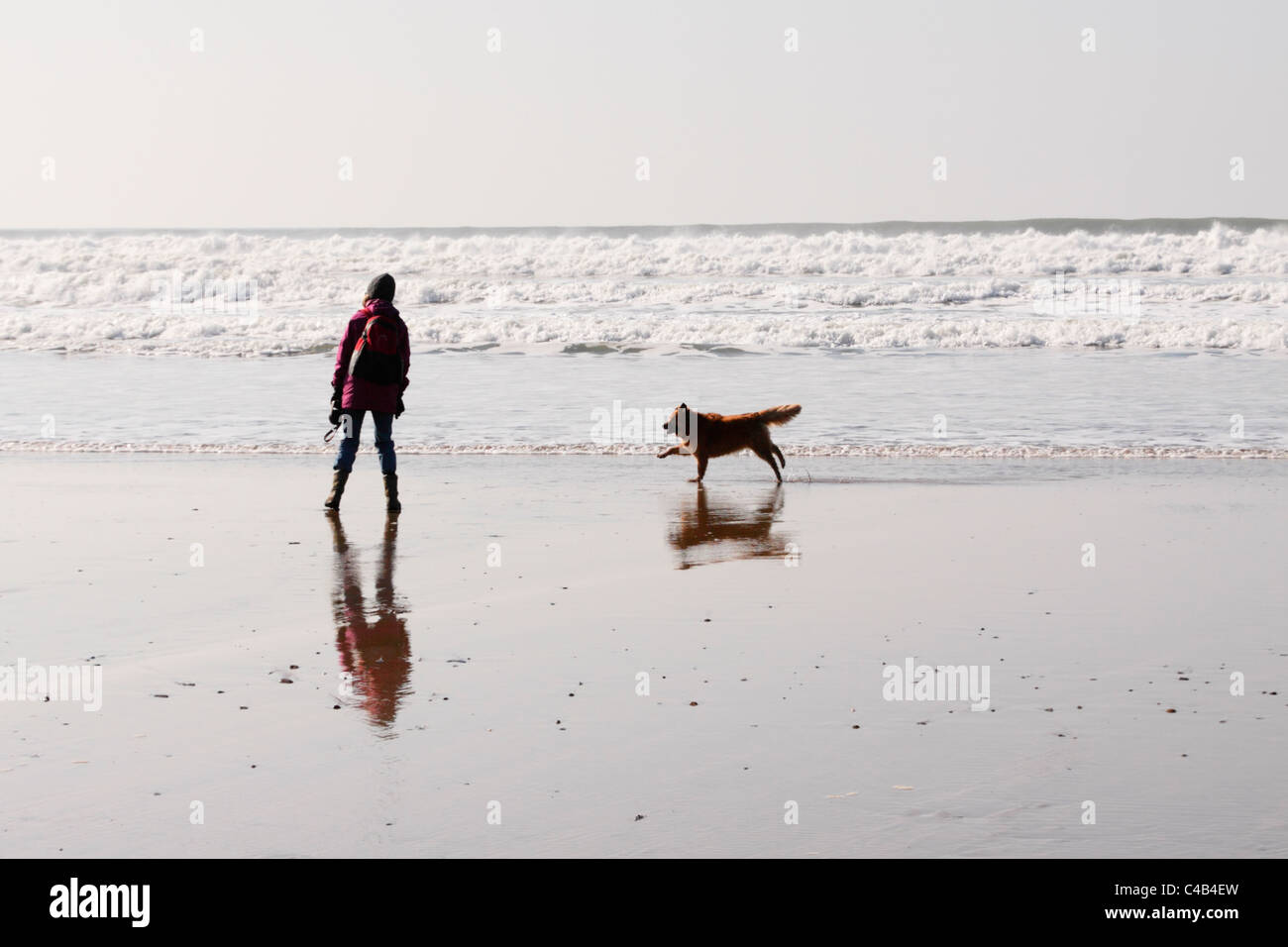 Person, die einen hund geht -Fotos und -Bildmaterial in hoher Auflösung ...