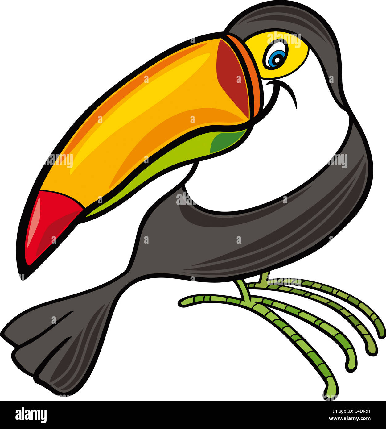 Cartoon-Illustration der lustige Tukan Stockfotografie - Alamy
