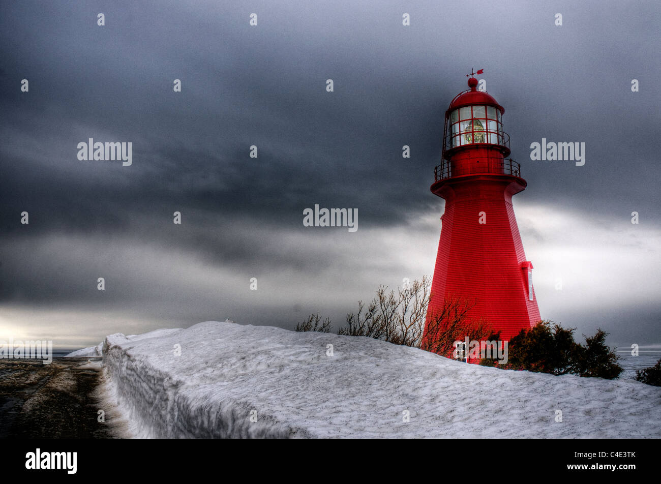 La martre quebec -Fotos und -Bildmaterial in hoher Auflösung – Alamy