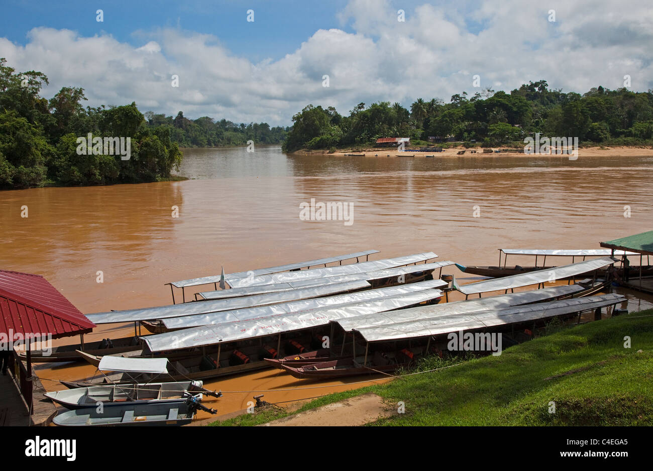Sungai tembeling river -Fotos und -Bildmaterial in hoher Auflösung – Alamy