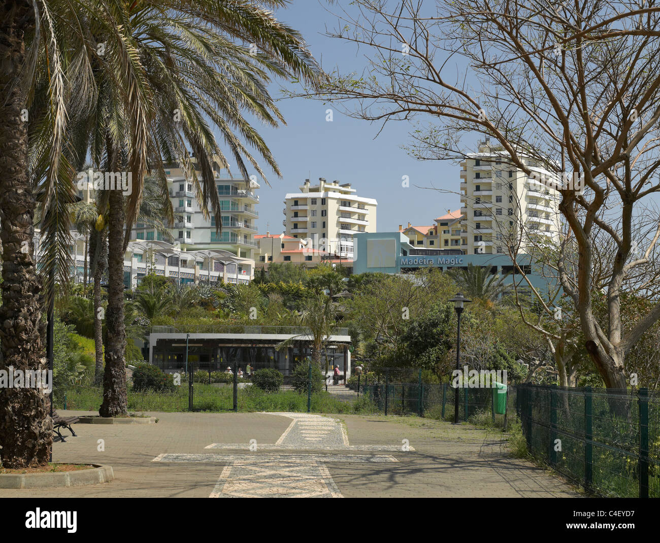 Funchal promenade madeira portugal -Fotos und -Bildmaterial in hoher ...