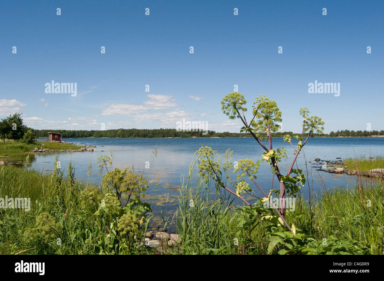 schwedische Naturreservat Schweden natürliche Naturlandschaft ...