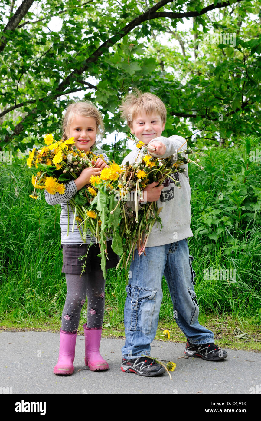 Trauben blumen -Fotos und -Bildmaterial in hoher Auflösung – Alamy