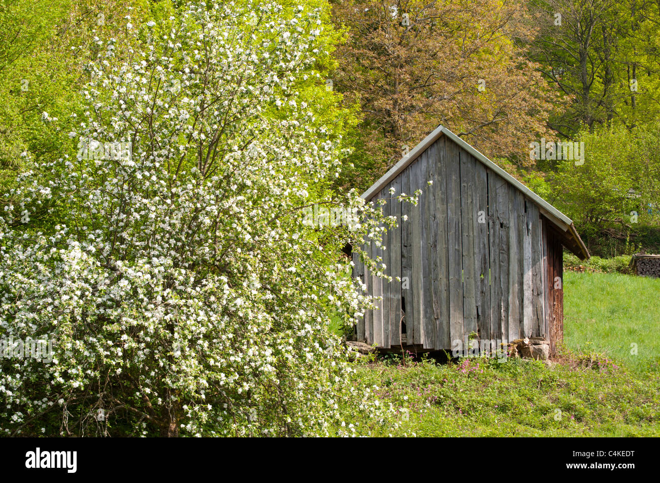 Hütte Heu Auf Der Wiese Stockfotos und -bilder Kaufen - Alamy