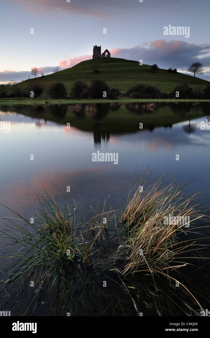 Fuchsbau prahlen spiegelt sich in überschwemmten Feldern, Burrowbridge ...