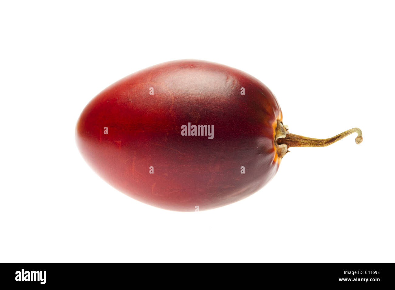 Tamarillo frucht -Fotos und -Bildmaterial in hoher Auflösung – Alamy