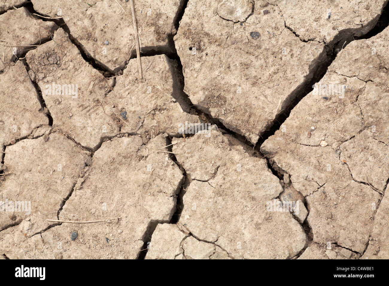 Rissige ausgetrocknete erde -Fotos und -Bildmaterial in hoher Auflösung ...