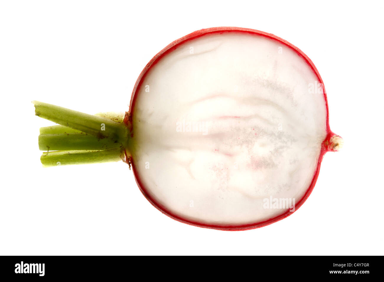Rettich symbol -Fotos und -Bildmaterial in hoher Auflösung – Alamy