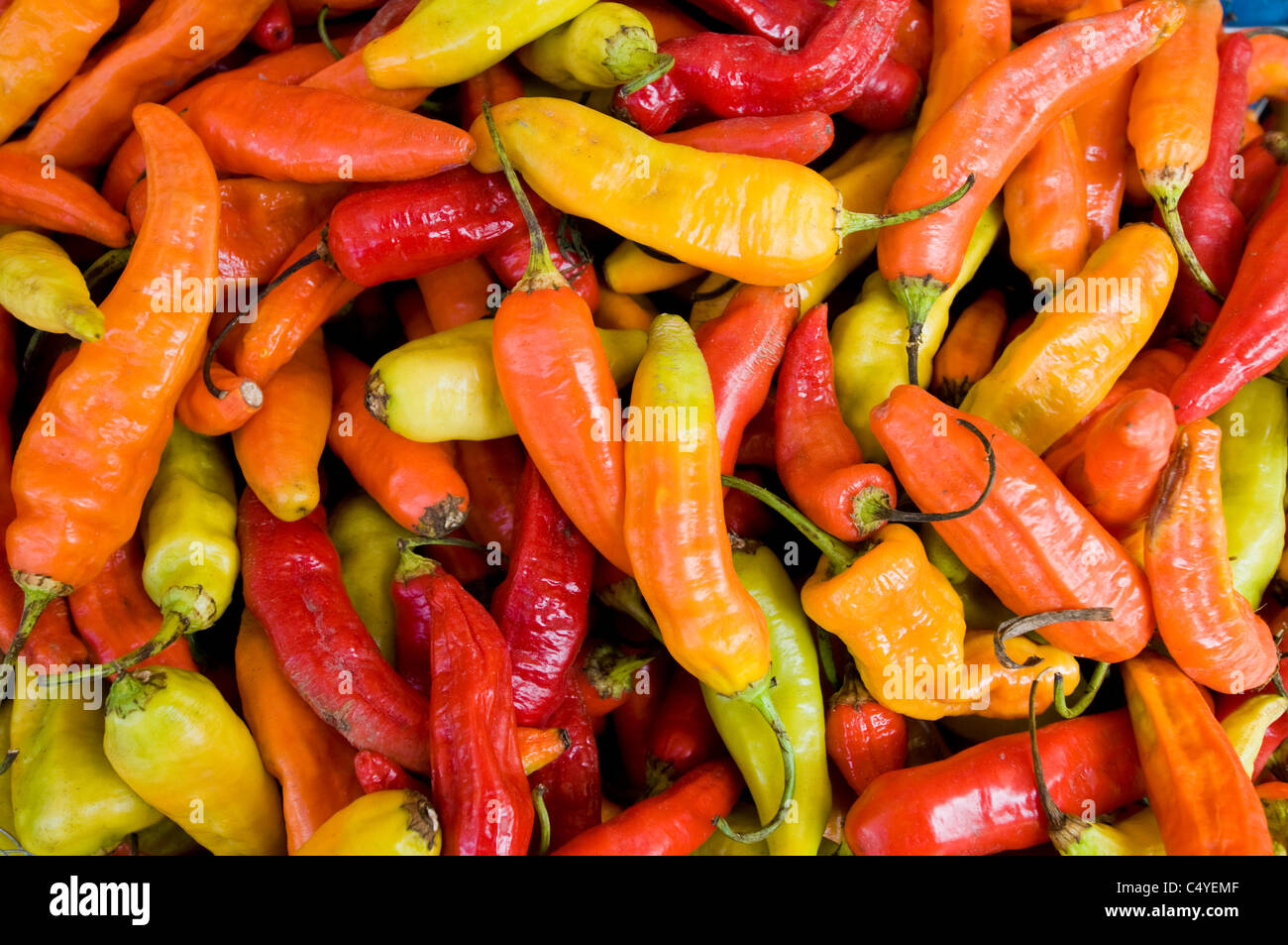 Chili Peppers in Markt in Otavalo Ecuador Stockfotografie - Alamy