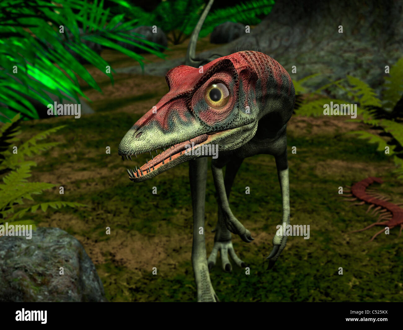 Compsognathus compsognathus -Fotos und -Bildmaterial in hoher Auflösung ...