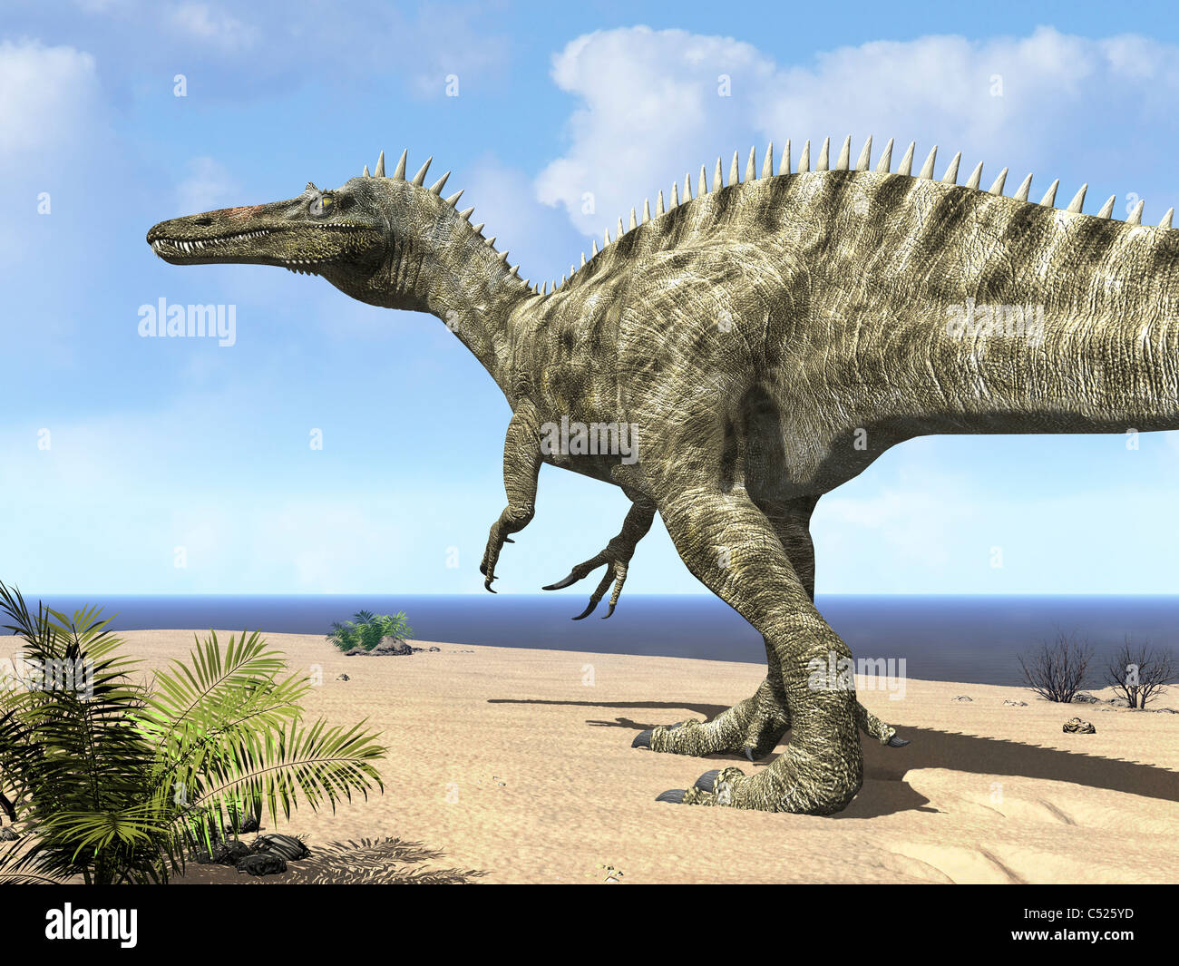 Ozean tethys -Fotos und -Bildmaterial in hoher Auflösung – Alamy