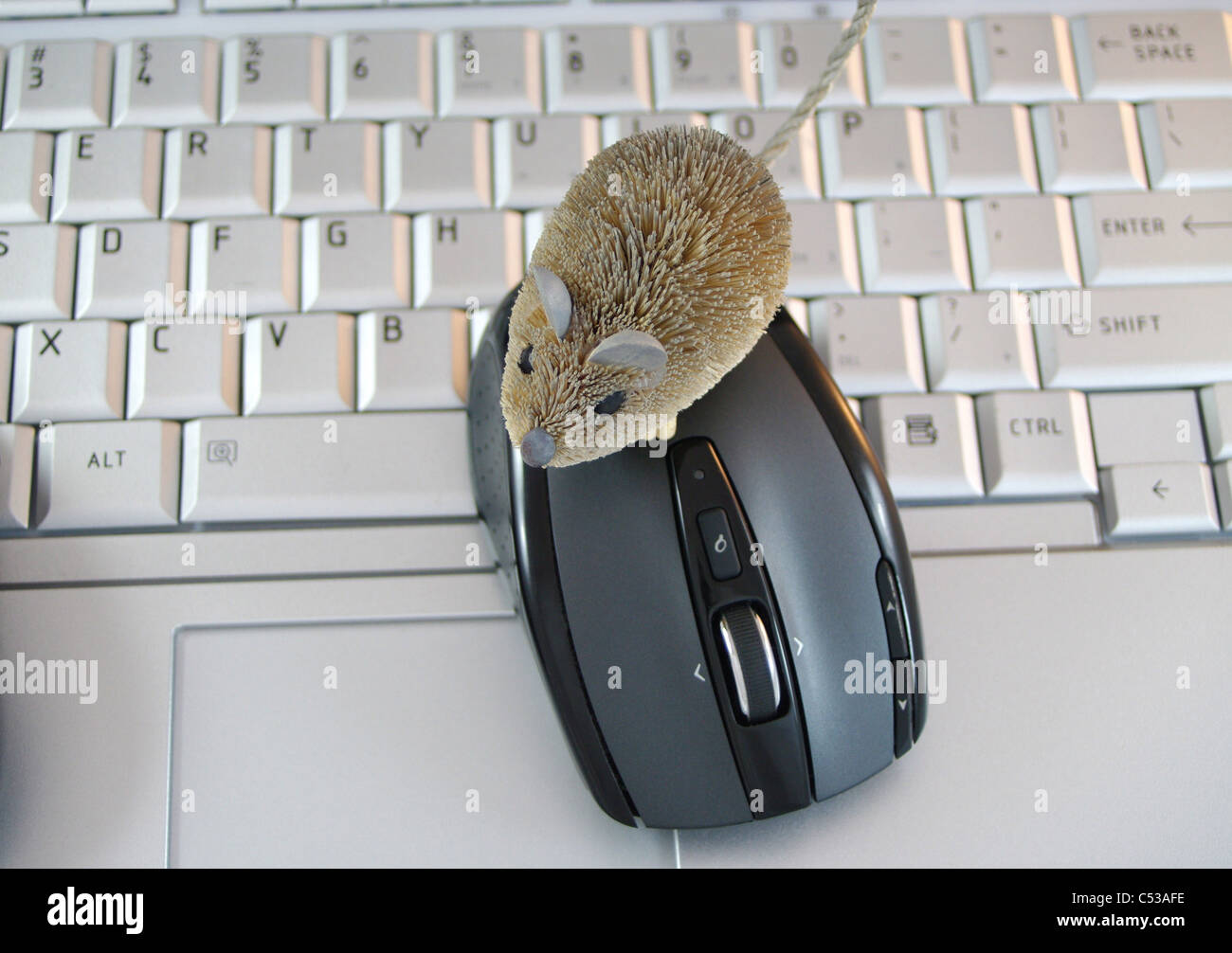 Computermaus lustig -Fotos und -Bildmaterial in hoher Auflösung – Alamy