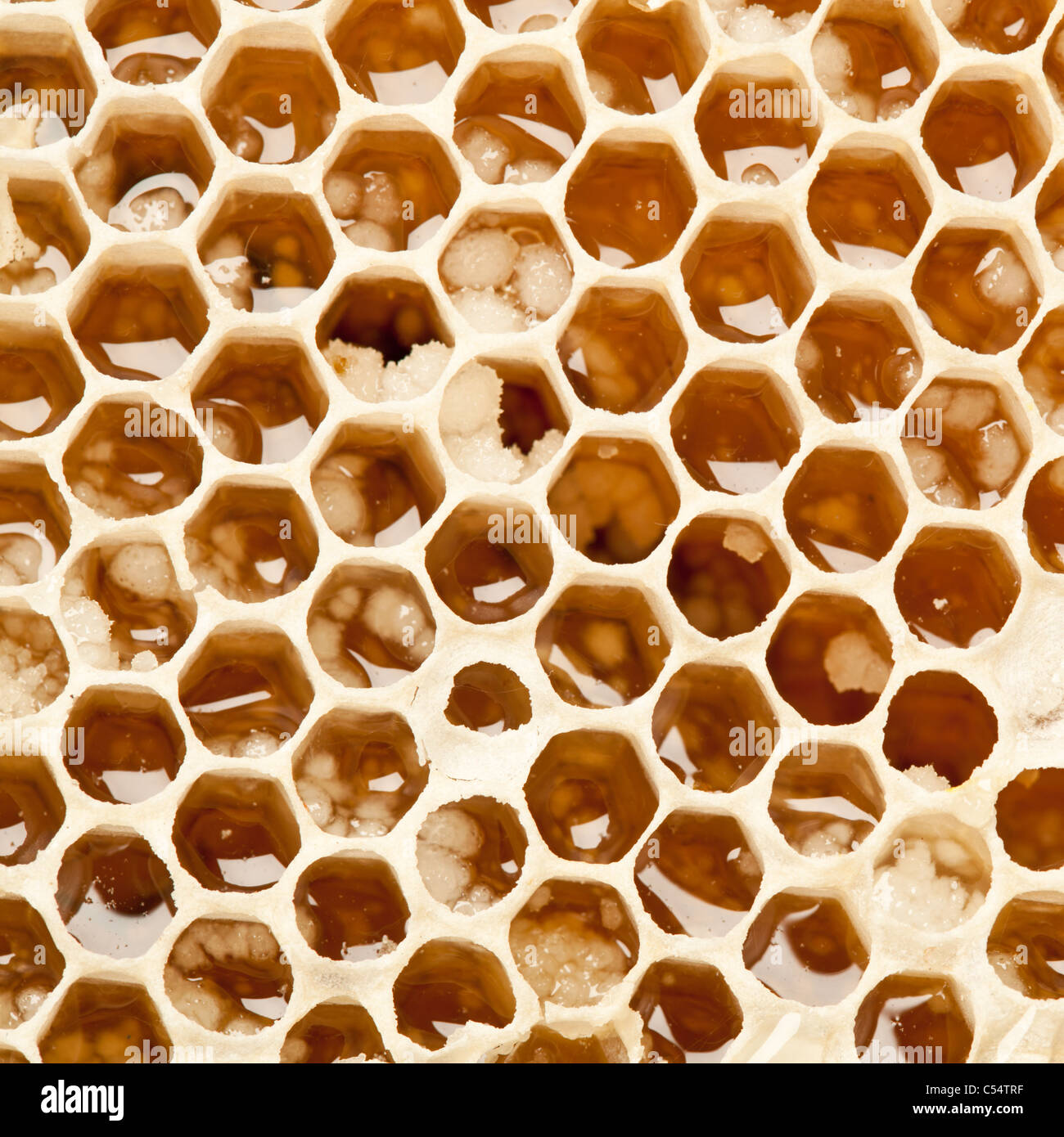 Nahaufnahme der Waben Stockfotografie - Alamy