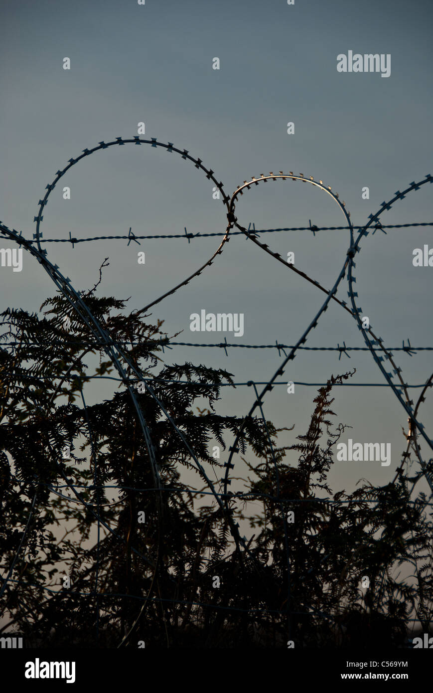 Barbed tape -Fotos und -Bildmaterial in hoher Auflösung – Alamy