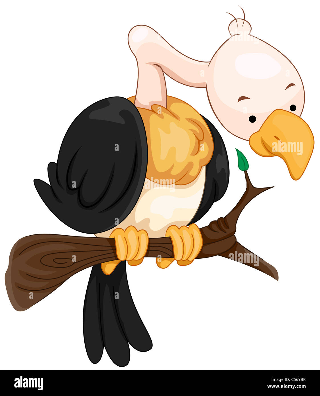 Geier clipart -Fotos und -Bildmaterial in hoher Auflösung – Alamy