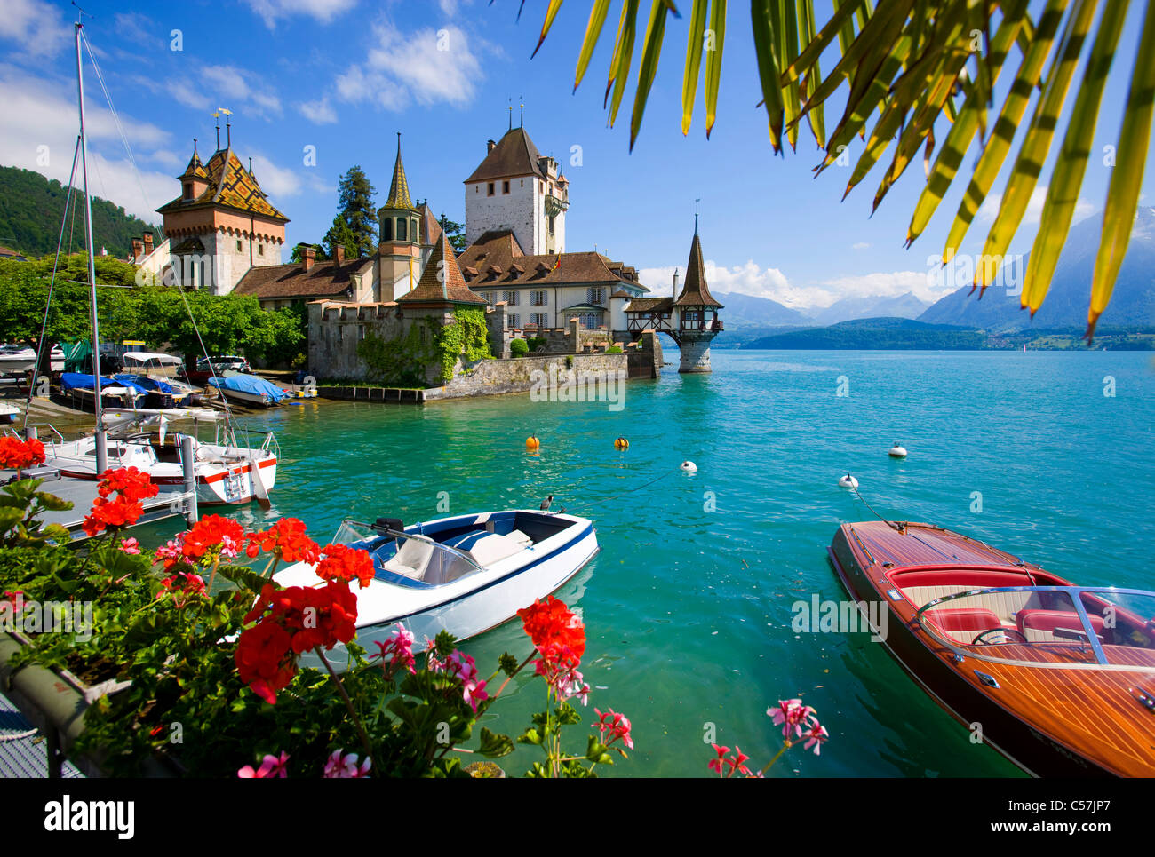 Oberhofen, Schweiz, Europa, Kanton Bern, See, Meer, Thunersee, Burg ...