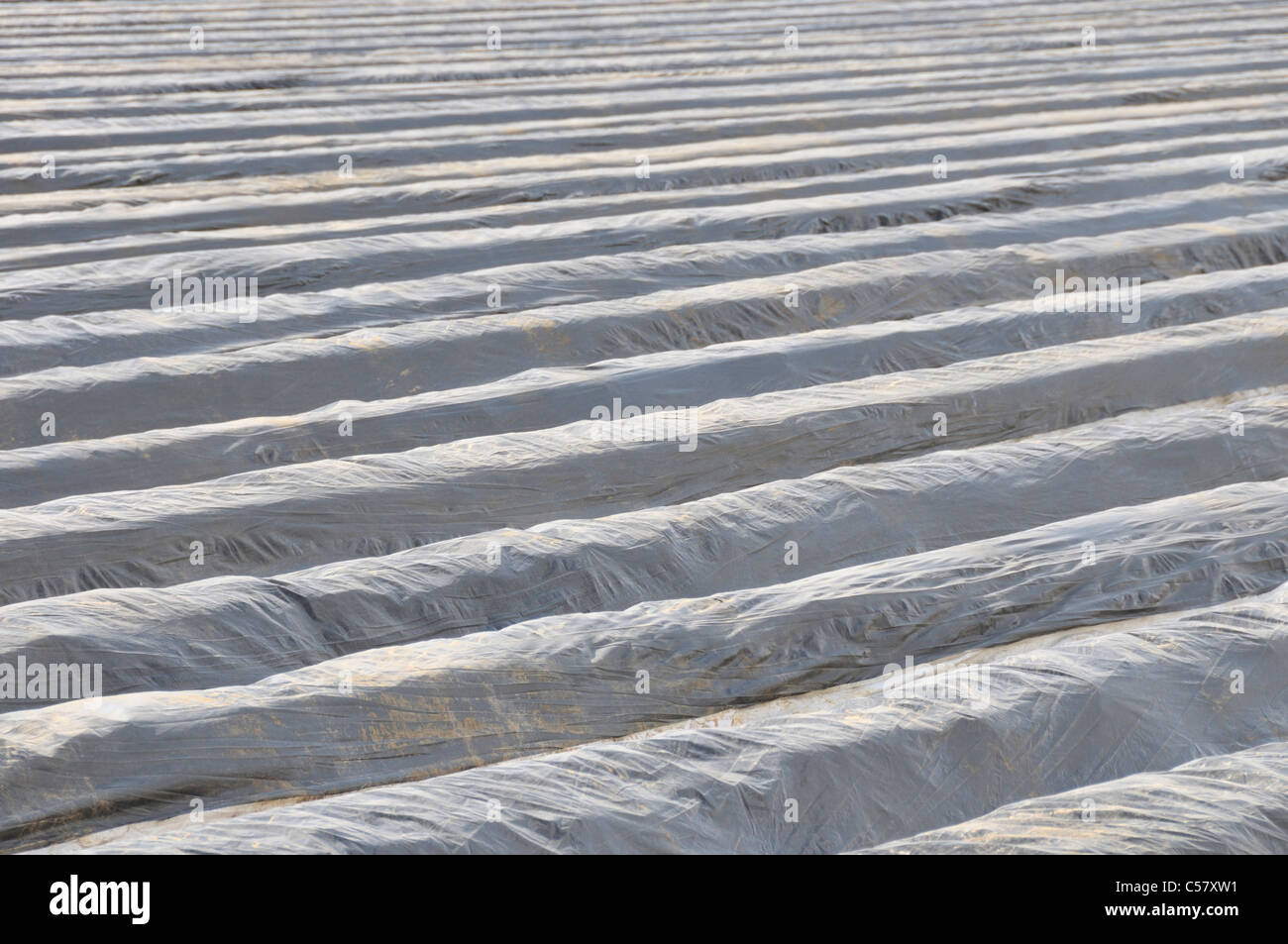 Acker landwirtschaft -Fotos und -Bildmaterial in hoher Auflösung – Alamy