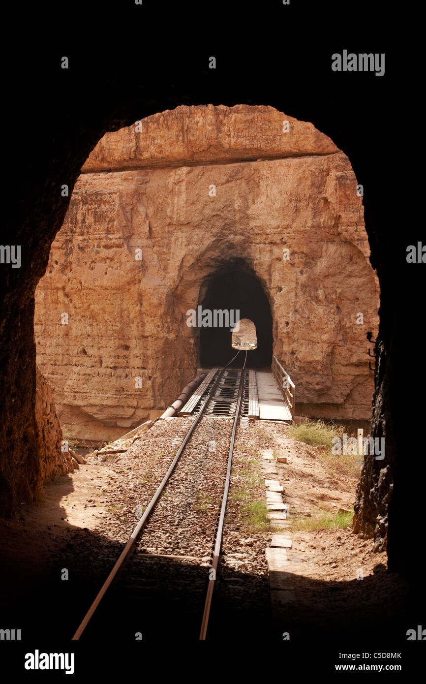 Red lizard train -Fotos und -Bildmaterial in hoher Auflösung – Alamy