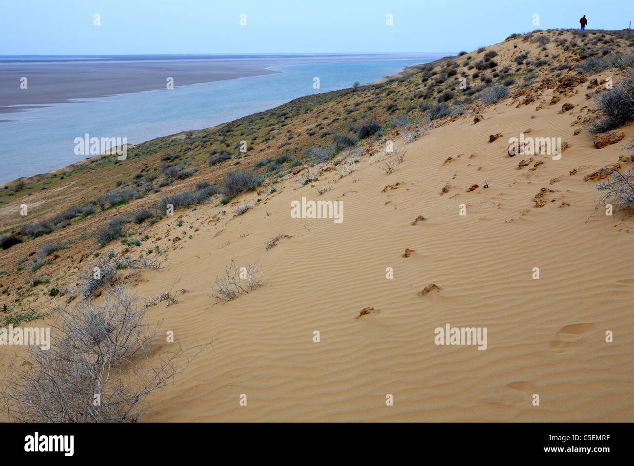 Fluss amudarya -Fotos und -Bildmaterial in hoher Auflösung – Alamy