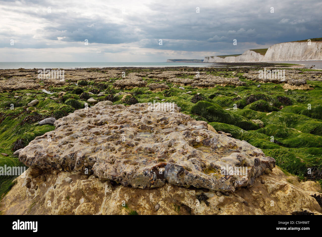 Schicht -Fotos und -Bildmaterial in hoher Auflösung – Alamy