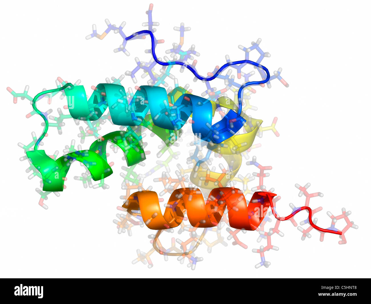 Sarcoma cells Ausgeschnittene Stockfotos und -bilder - Alamy