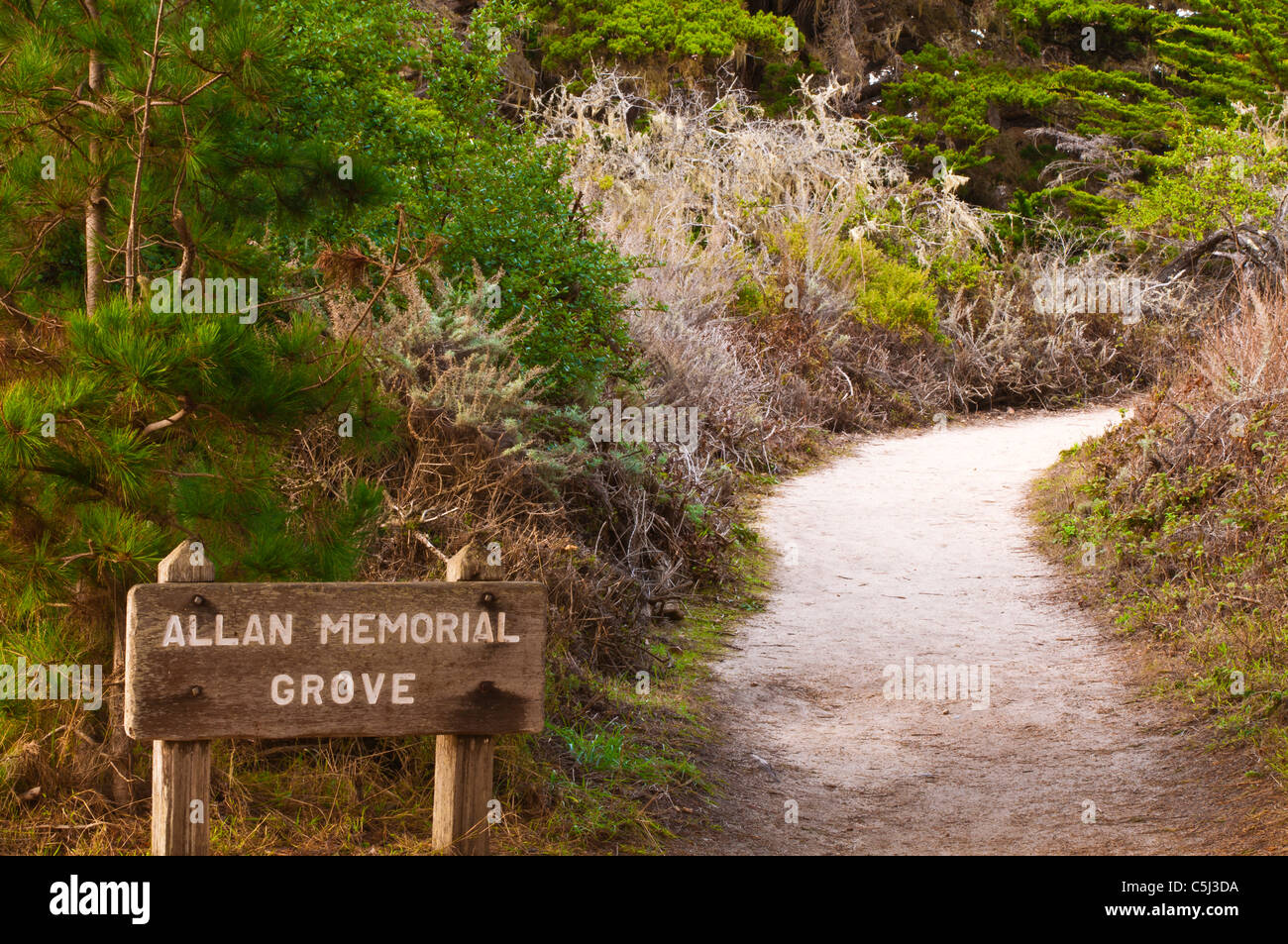 Allan memorial grove -Fotos und -Bildmaterial in hoher Auflösung – Alamy