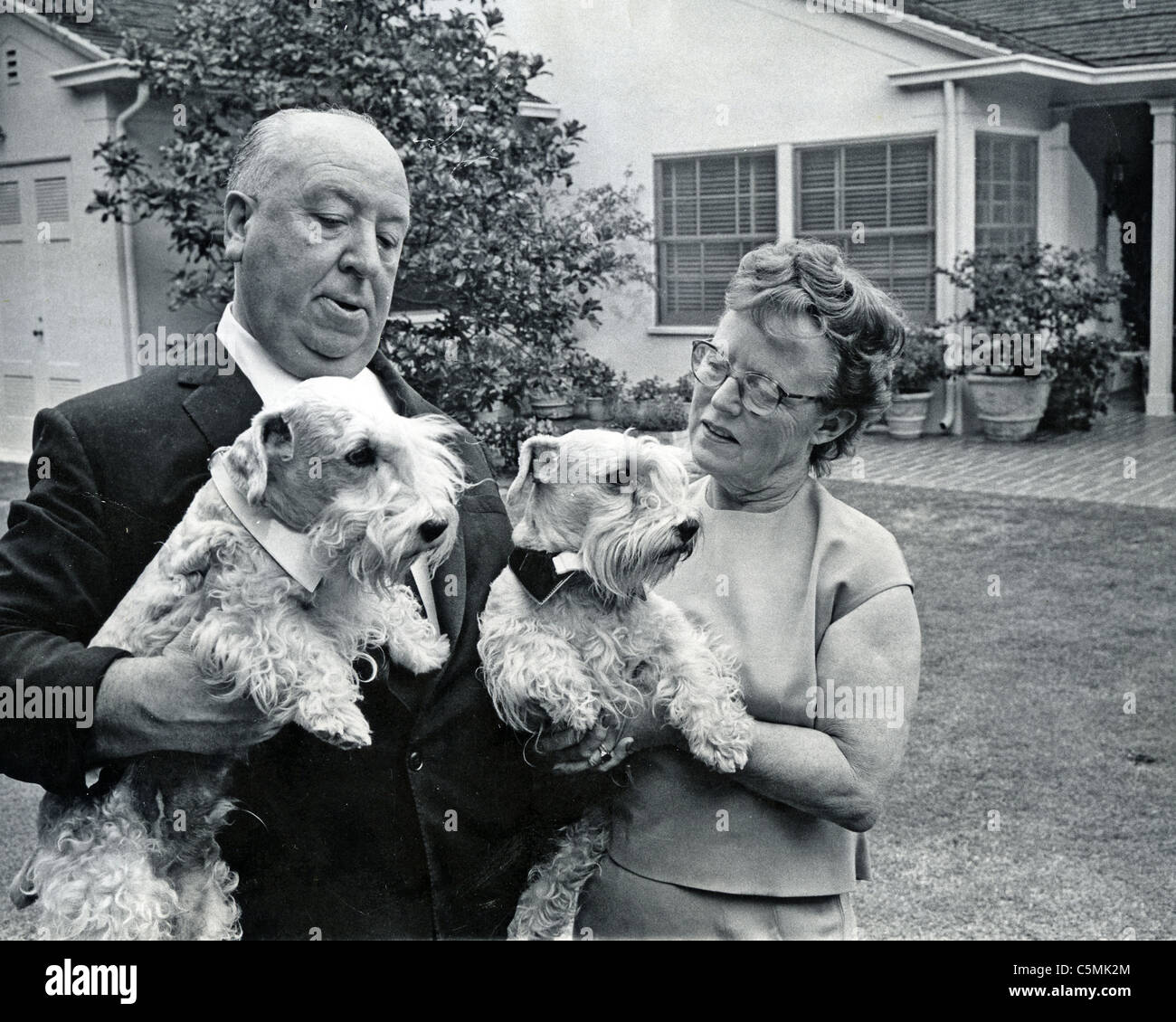 ALFRED HITCHCOCK mit Frau Alma und Selyham Hunden Stanley und Geoffrey ...