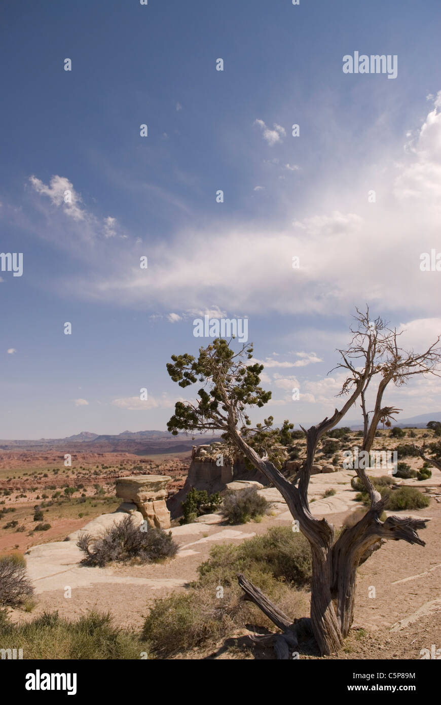 San rafael desert -Fotos und -Bildmaterial in hoher Auflösung – Alamy