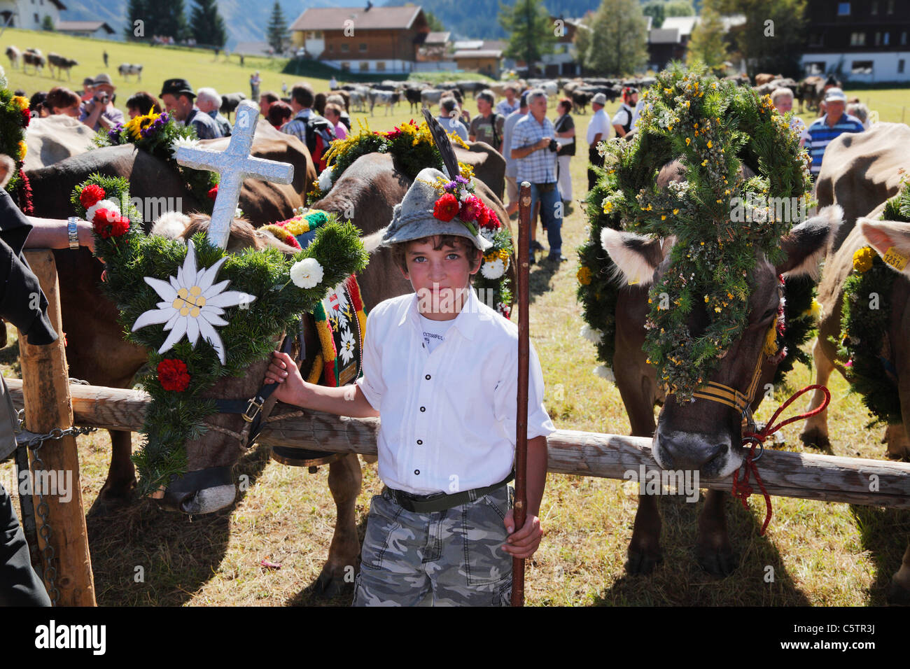 Österreich, Tirol, Tannheim, Almabtrieb, Boy halten dekoriert Kuh ...