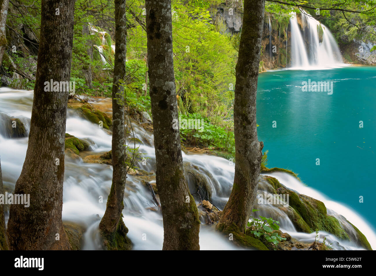 Wasserfälle in Plitvicka Jezera oder Nationalpark Plitvicer Seen in Kroatien Stockfotografie - Alamy
