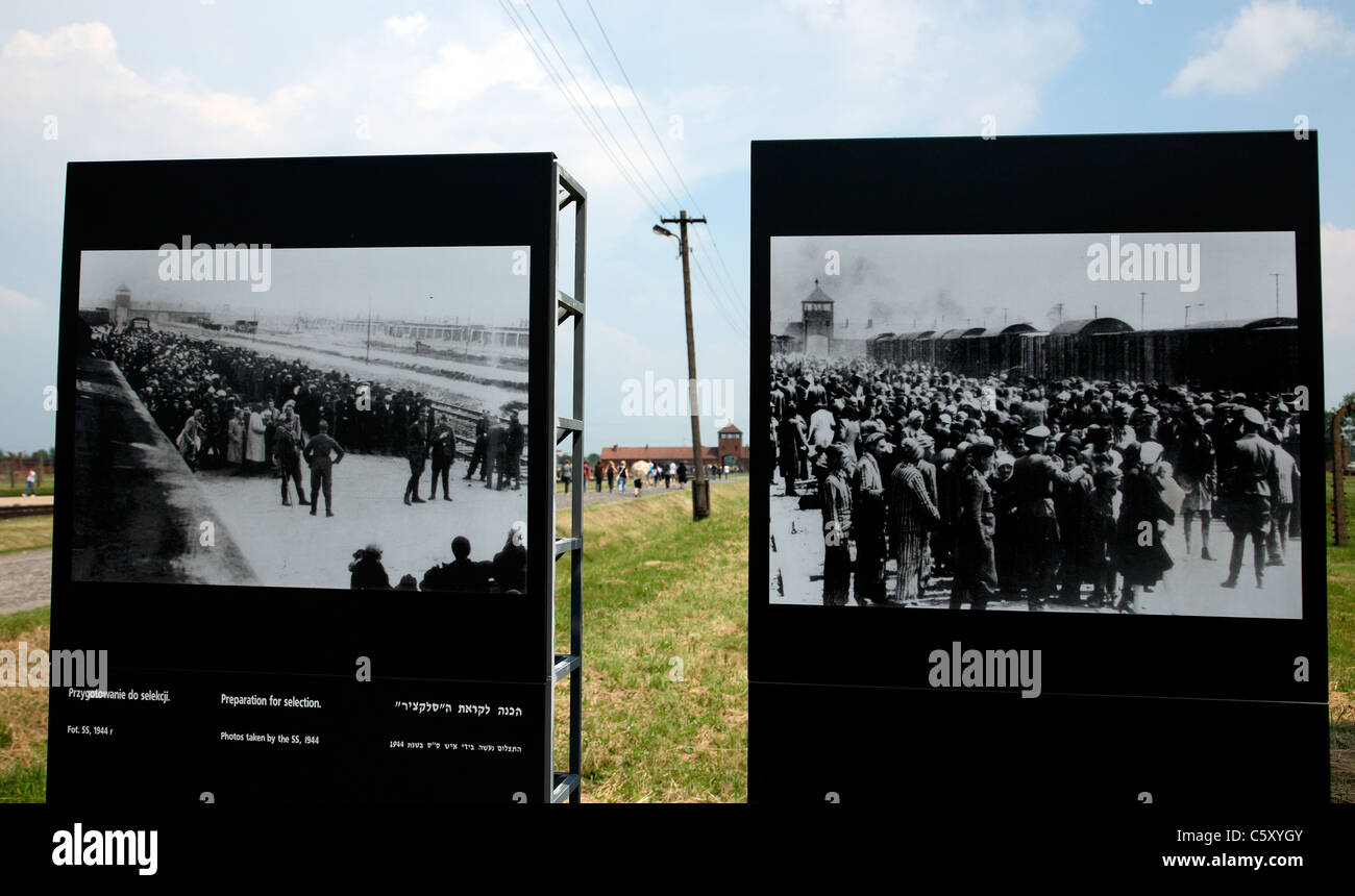 Selektion auschwitz birkenau Stockfotos und -bilder Kaufen - Alamy