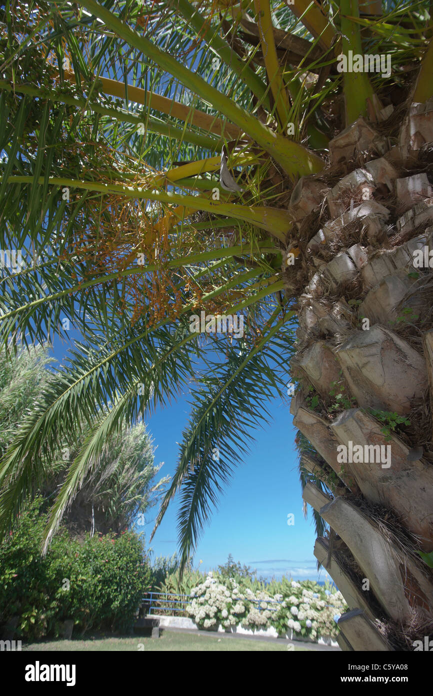 Insel auf den azoren -Fotos und -Bildmaterial in hoher Auflösung – Alamy