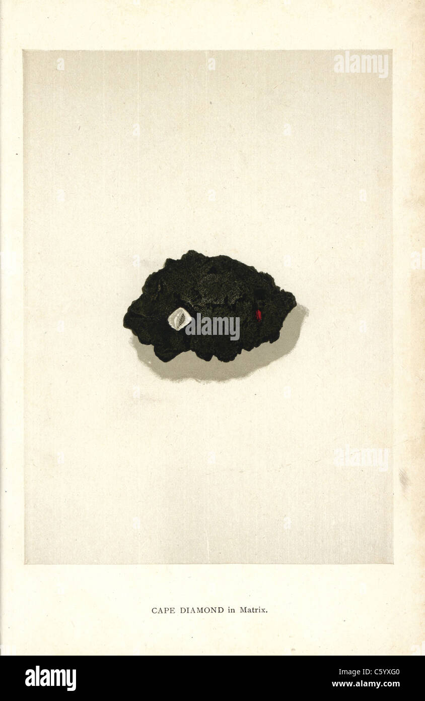 Kap diamant -Fotos und -Bildmaterial in hoher Auflösung – Alamy