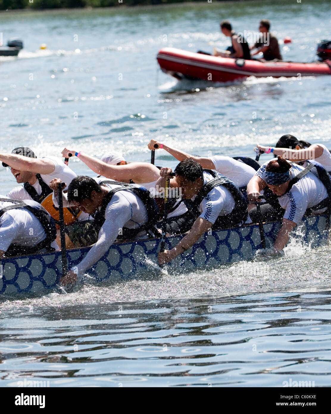 Piranhas DBC Drachenbootrennen am the21st TELUS Toronto International ...